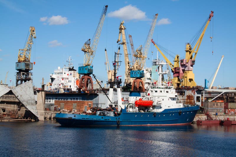Cane editorial photography. Image of boat, commerce, goods - 45887332