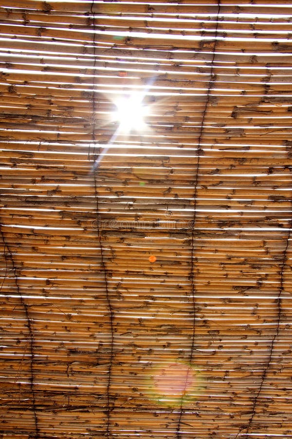 Cane roof detail stock image. Image of material, roof - 22383353