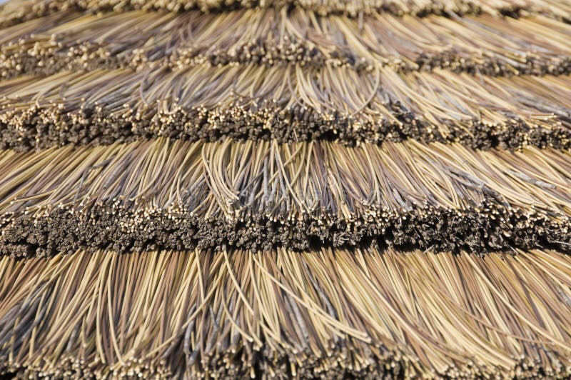 Cane roof detail stock image. Image of material, roof - 22383353