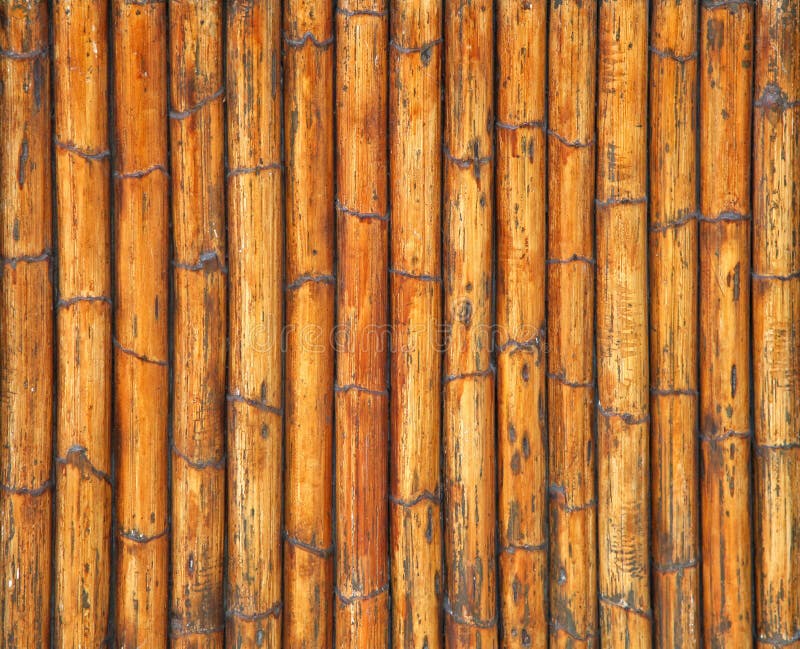 Sponge texture stock photo. Image of natural, color, isolated - 22097588