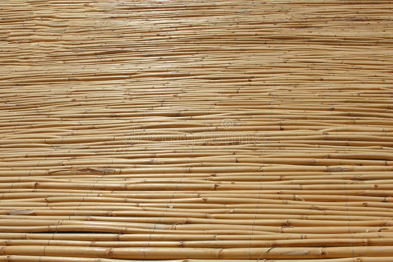 Cane Texture and Background Stock Photo - Image of tree, plank: 69249620