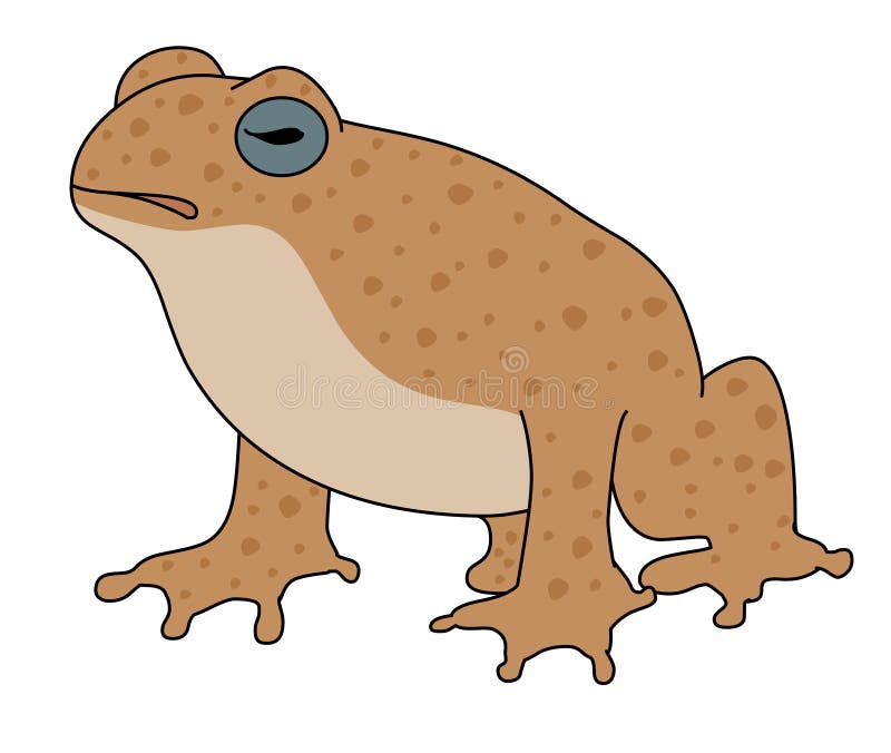 Toad Stock Illustrations – 13,898 Toad Stock Illustrations, Vectors ...
