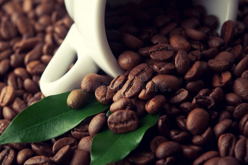 Caneca de café foto de stock. Imagem de gourmet, café - 29107516