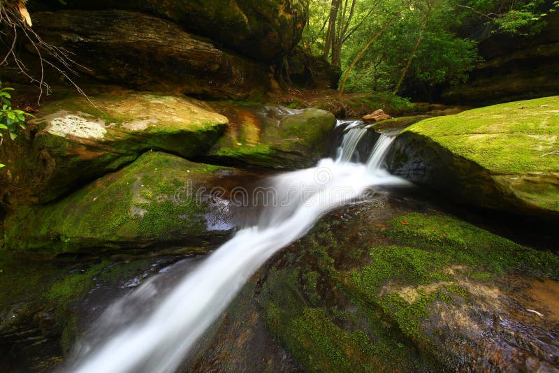 Alabama Forest Waterfall Landscape Stockfoto - Bild von vereinigt ...
