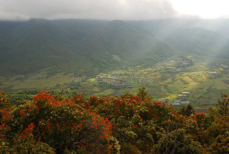 Cang Mountain in Southwest China Stock Image - Image of flower, yunnan ...