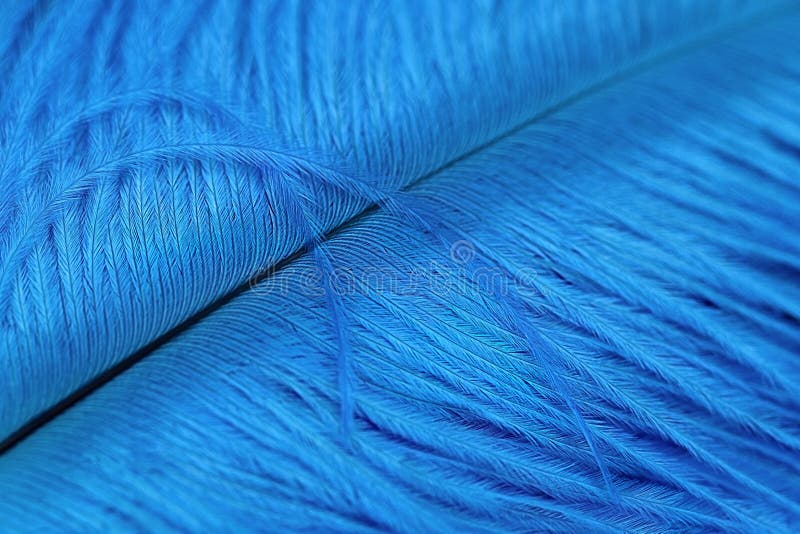 Canilla azul hermosa imagen de archivo. Imagen de objeto - 25770641