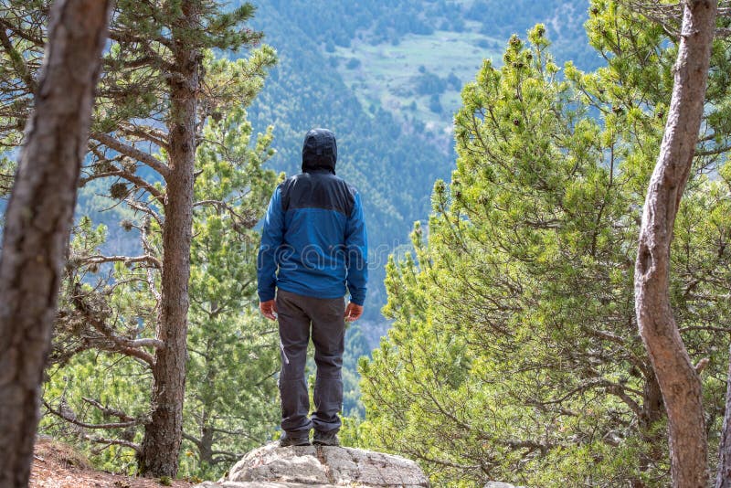 Young Man Looking Towards the Mountains in Spring in the Pyrenees of ...