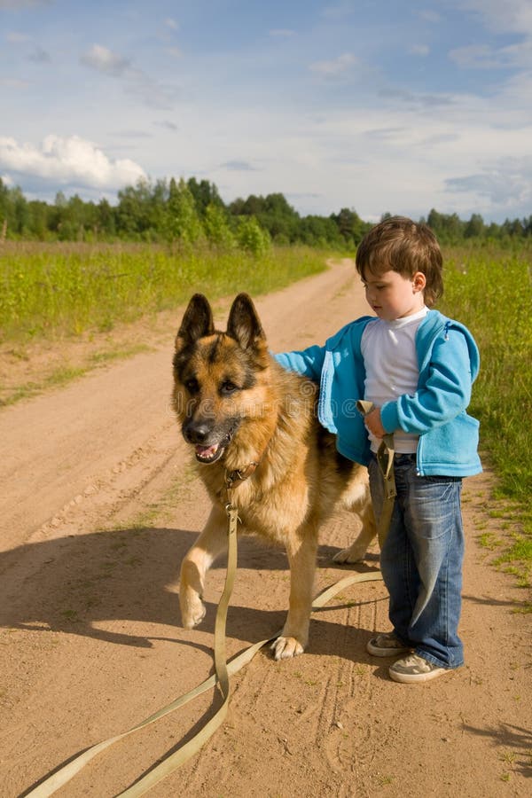 Canine friend stock photo. Image of sunlight, animal - 15911930