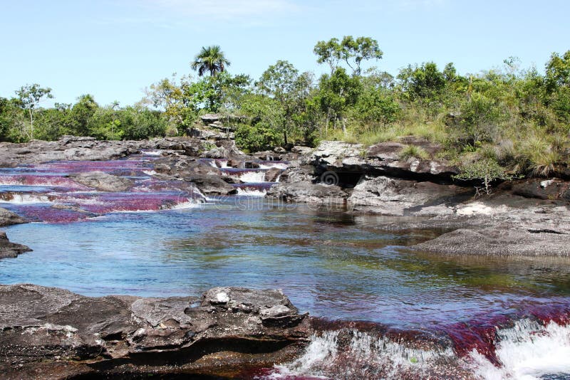 Amazon River Landscape in Colombia Stock Image - Image of protect ...