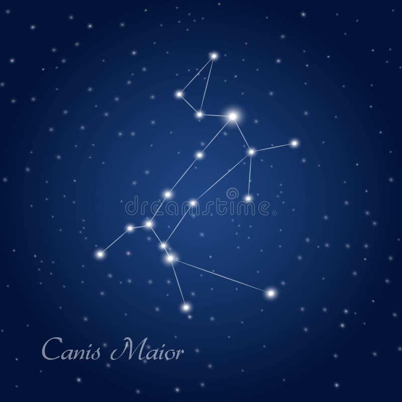 Canis Maior-constellatie vector illustratie. Illustration of hemel ...