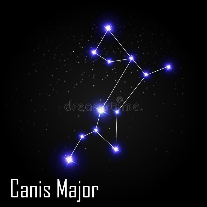 Canis Major Constellation with Beautiful Bright Stars Stock Vector ...