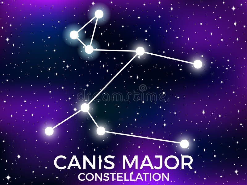 Canis Major Constellation. Starry Night Sky. Cluster of Stars and ...