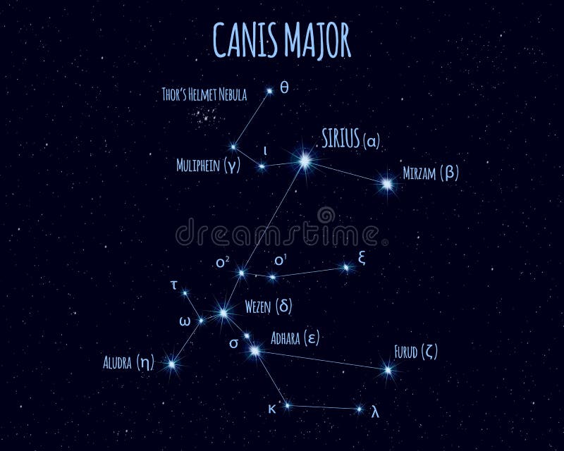 Canis Major Constellation in Golden Circle Stock Vector - Illustration ...