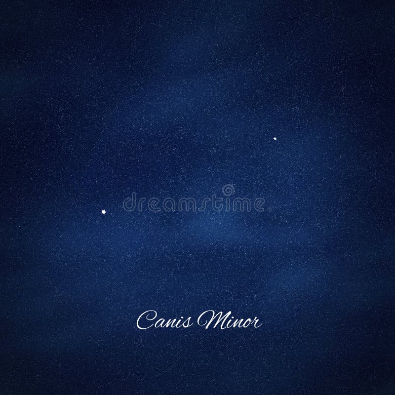 Canis Minor Constellation, Cluster of Stars, Lesser Dog Constellation ...