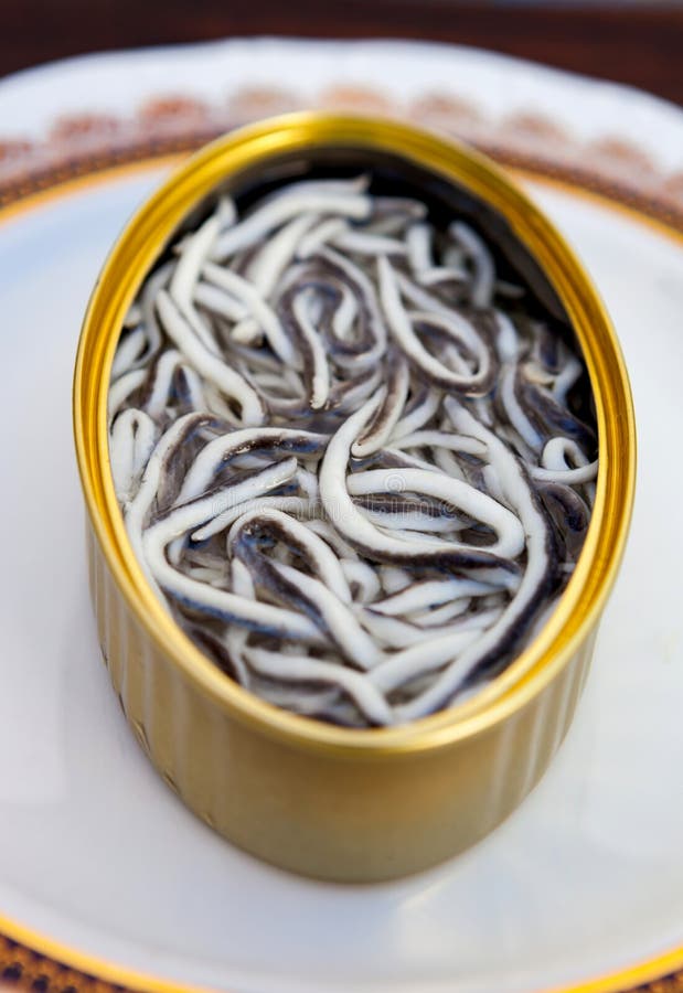 Canister of canned elvers stock image. Image of lunch - 105332865