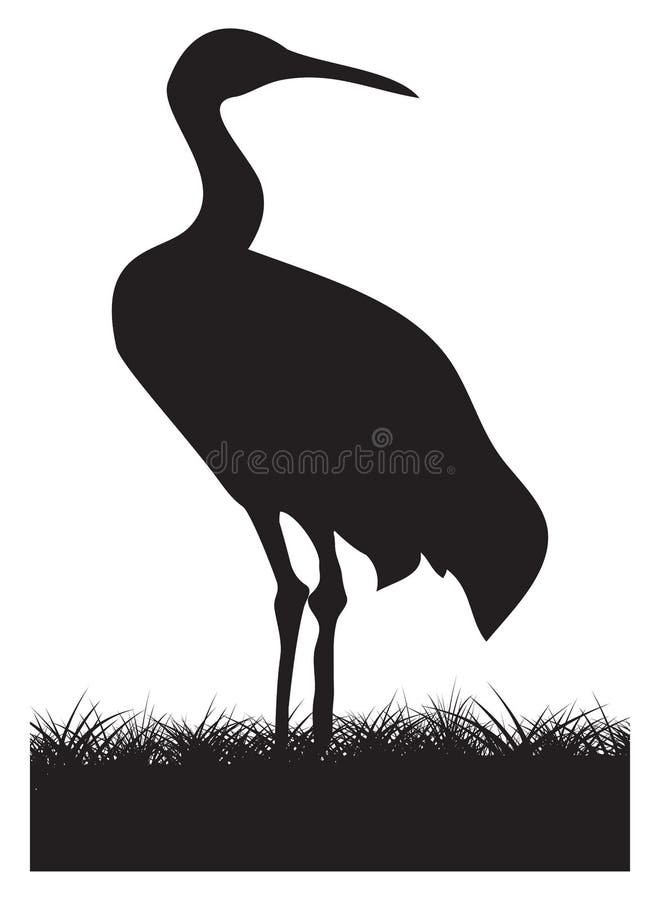 Profile View Silhouette of a Crane Standing in Marshy Grass Stock ...