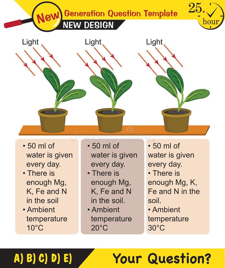 Living Things Diagram Stock Illustrations – 85 Living Things Diagram ...