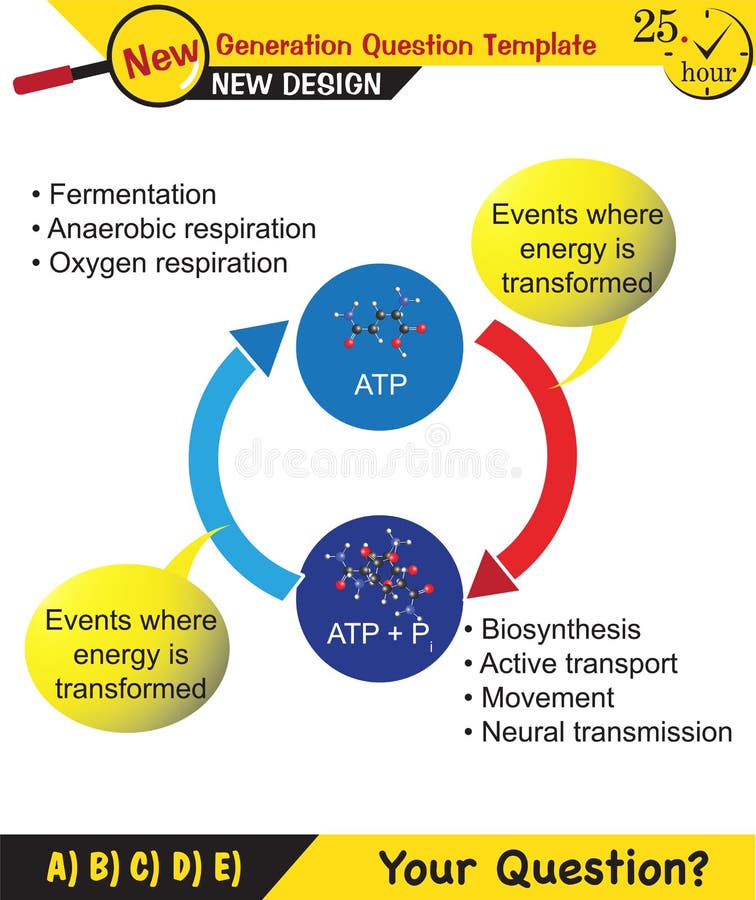 Biology - Basic Components of Living Things Stock Illustration ...