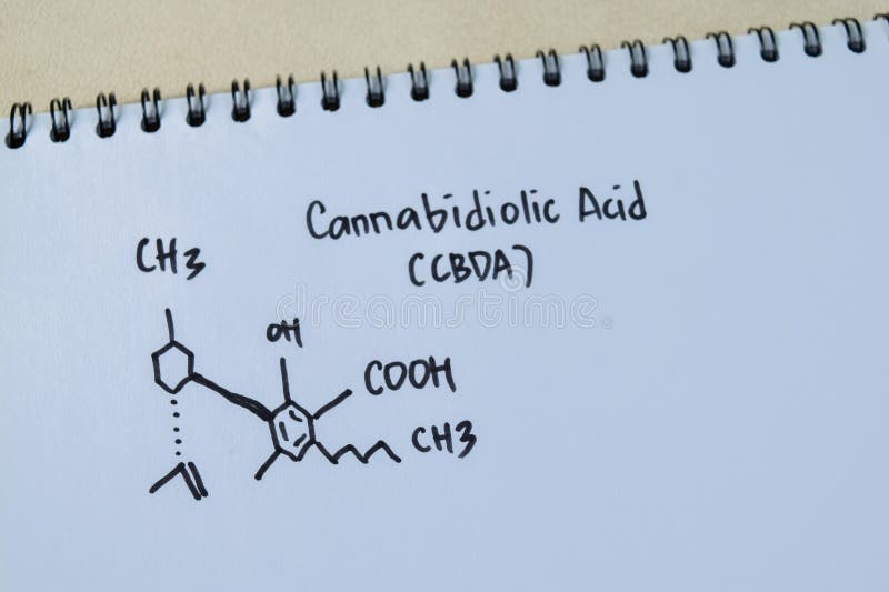 Cannabidiolic Acid (CBDA) Molecule Written on the Book. Structural ...