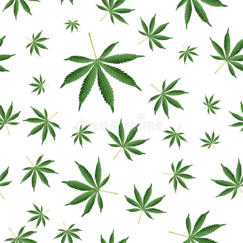 Cannabis Background. Marijuana Ganja Weed Hemp Leafs Seamless Vector ...