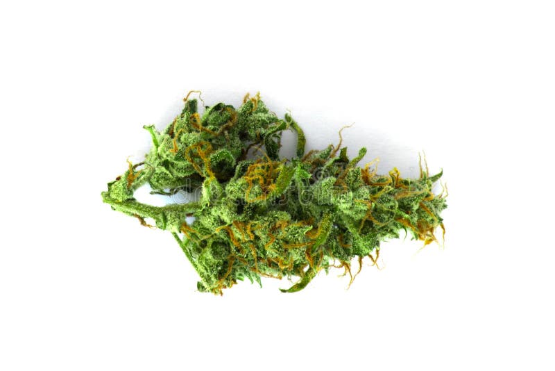 Isolated Cannabis Bud Top View Isolated on White Background Stock Photo ...