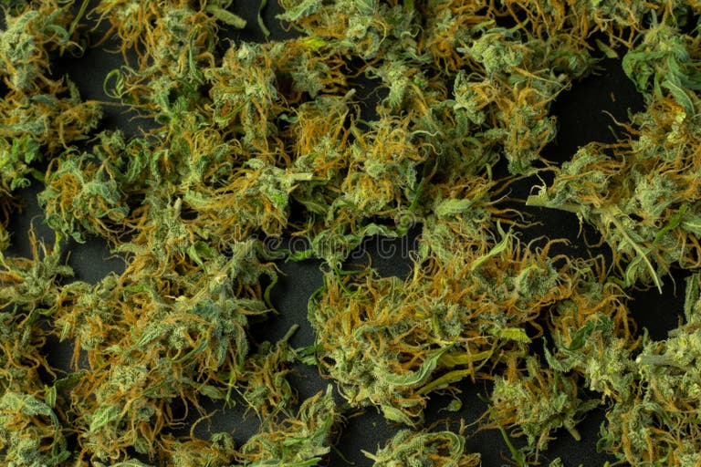 Cannabis Buds Texture Background, Marijuana Backdrop Stock Photo ...