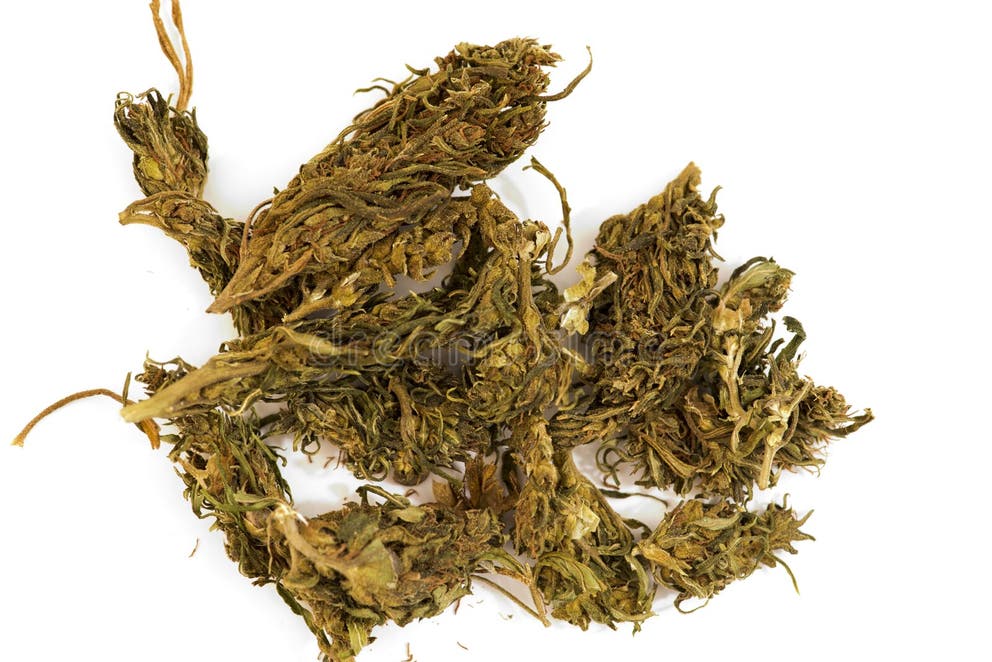 Cannabis stock photo. Image of high, buds, illegal, hashish - 98033970