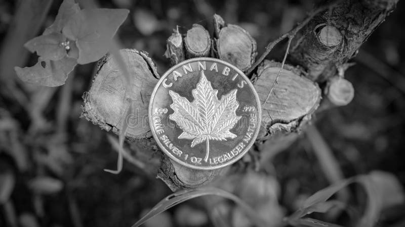 Cannabis coin - silver stock photo. Image of weed, concept - 158871556