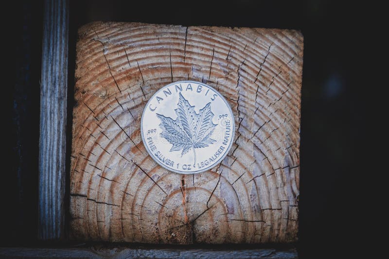 Cannabis coin - silver stock photo. Image of healthy - 158871554