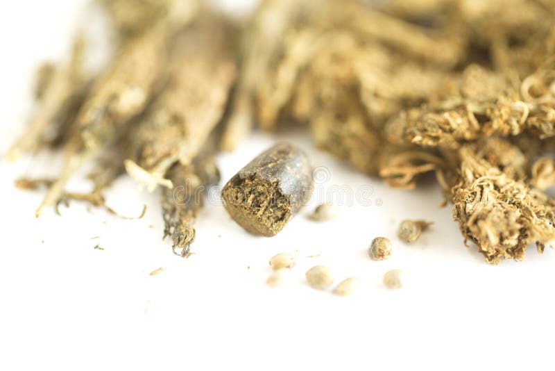 Cannabis Dell'hashish E Della Canapa Indiana Immagine Stock - Immagine ...
