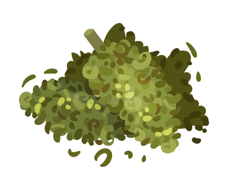 Cannabis Dried Seeds in Package Vector Object Isolated on White ...