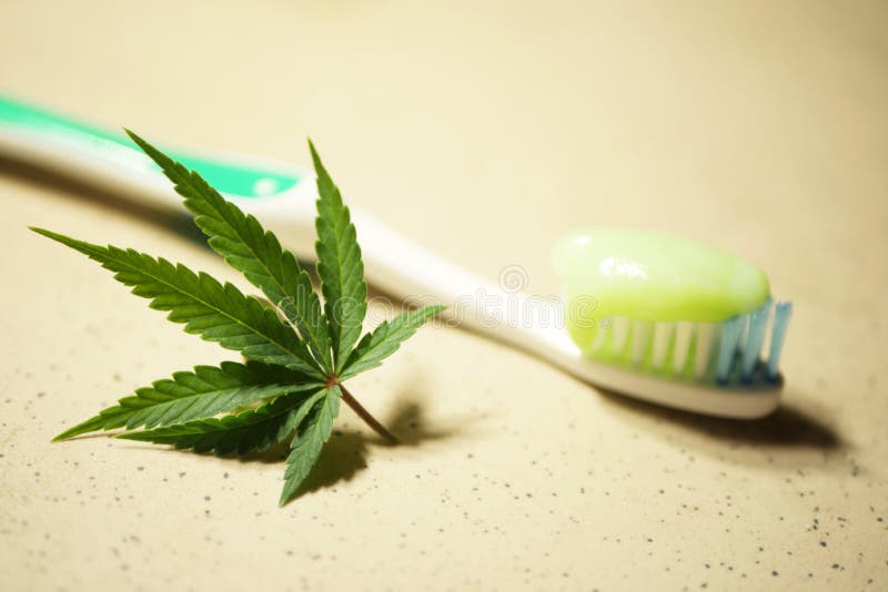 Cannabis Infused Toothpaste Hemp Oil Stock Image Image Of Leaf