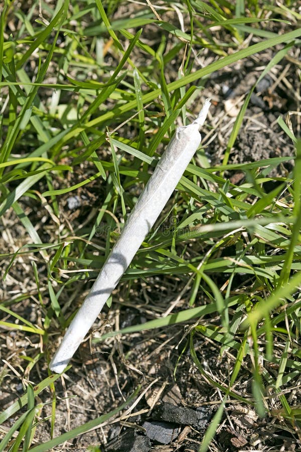 Cannabis Joint Macro in Grass Background Fifty Megapixels Stock Photo ... Cannabis Joint Macro in Grass Background Fifty Megapixels Stock Photo ...