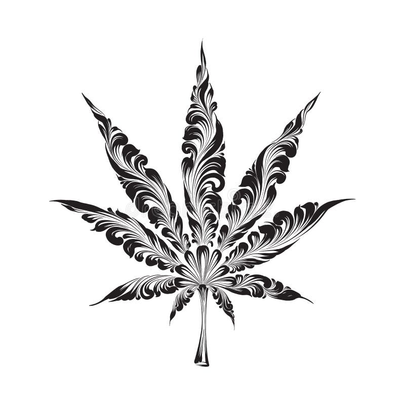 Cannabis Leaf Abstract Illustration Isolated on White. Hand Drawn ... Cannabis Leaf Abstract Illustration Isolated on White. Hand Drawn ...