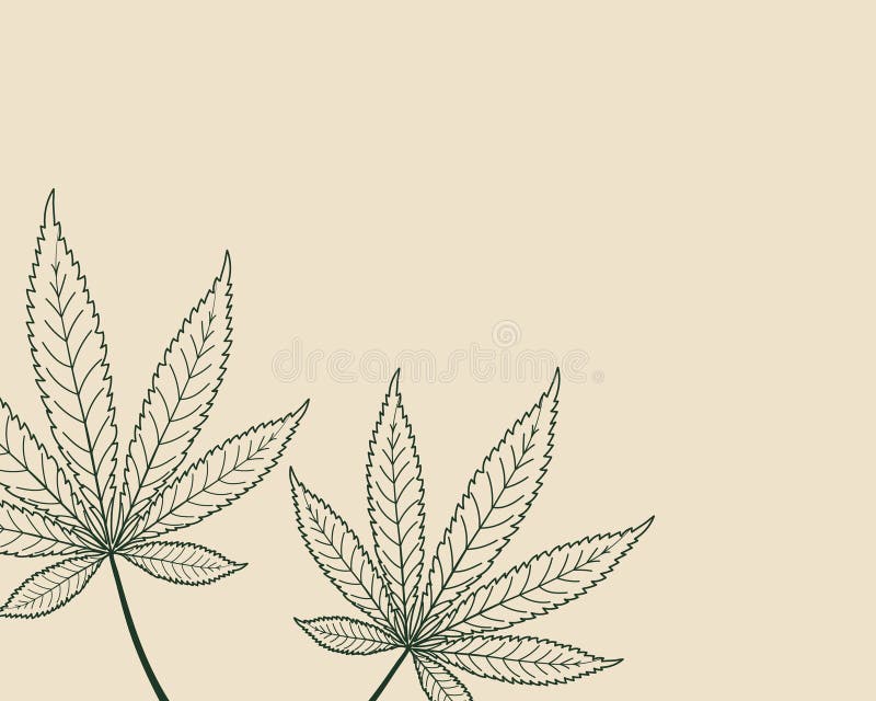Cannabis Leaf Background. Marijuana Leaves Sketch. Hemp Leaves Stock ...