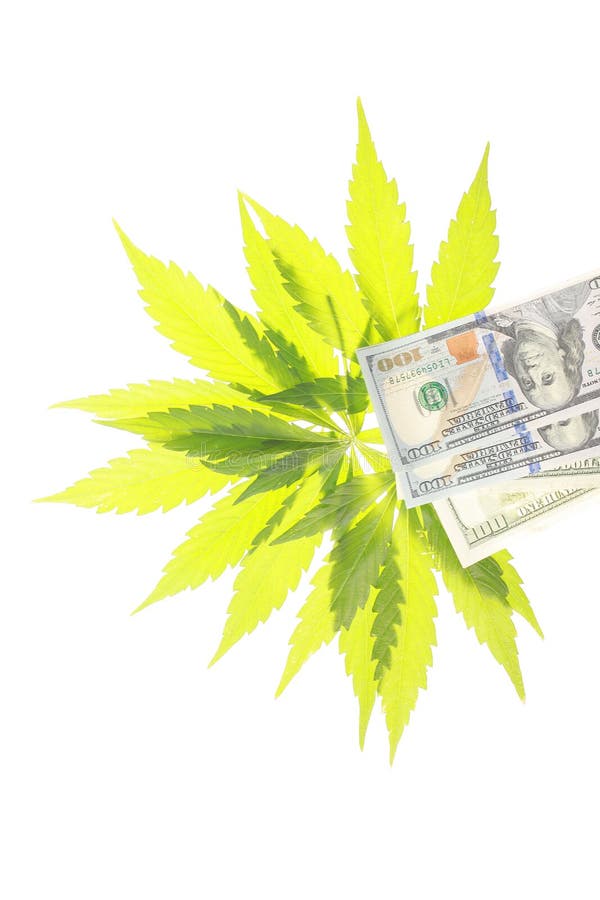 Cannabis Leaf Hemp Green Leaves Marijuana Stock Image - Image of ...