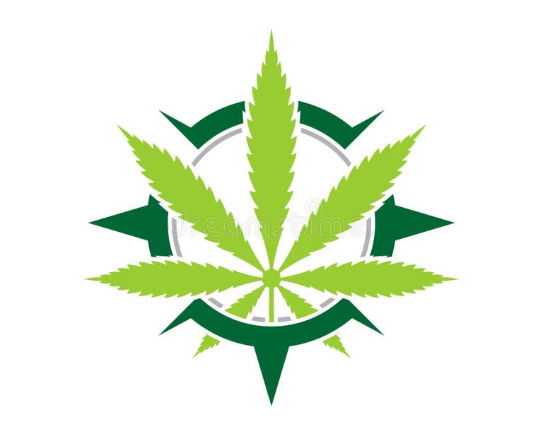 Cannabis Leaf Inside the Compass Logo Stock Vector - Illustration of ...