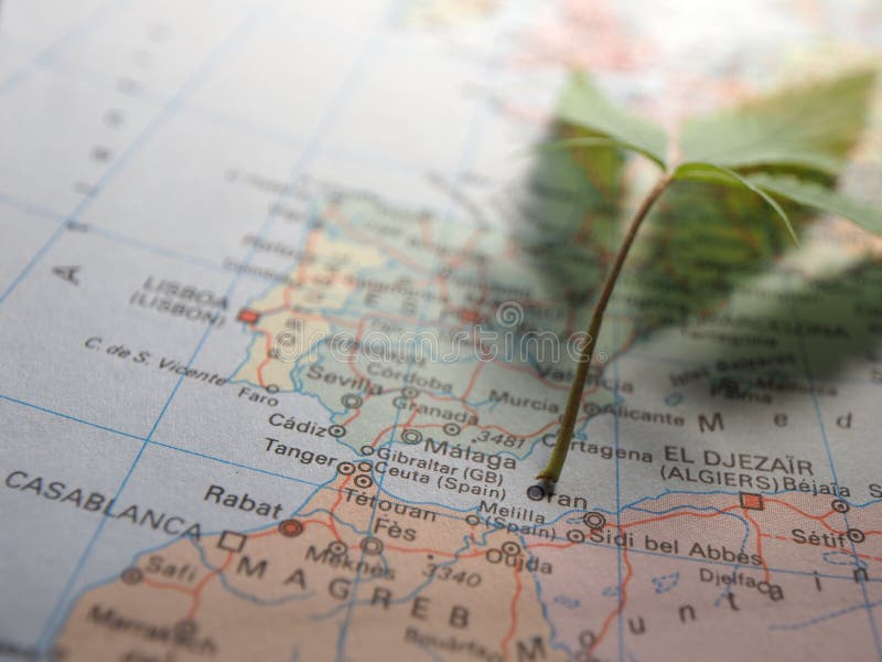 Fresh Cannabis Leaf on Map Europe Stock Photo - Image of canada ...