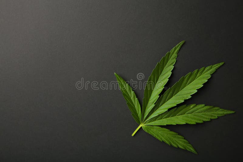 Cannabis Leaf, Marijuana Leaf on Black Background Stock Photo - Image of legalize, cannabis ...
