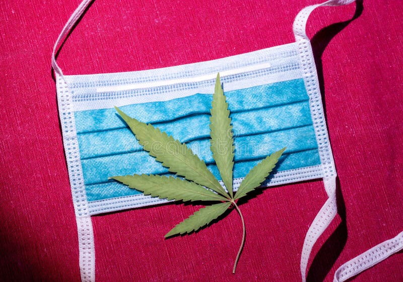 Cannabis Leaf on Mask for Covid on Red Background Stock Photo - Image ...