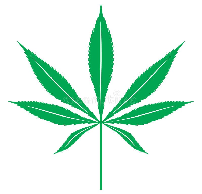 Cannabis leaf stock vector. Illustration of isolated - 46210620