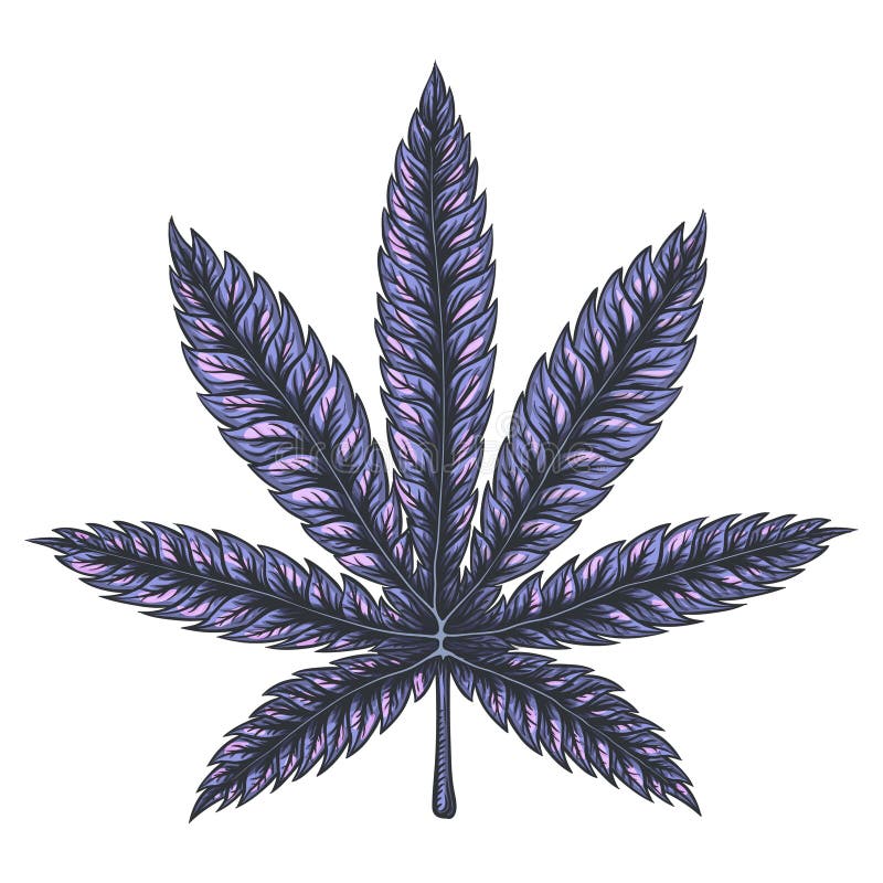 Cannabis Leaf Vector Image. Stock Vector - Illustration of joint ...