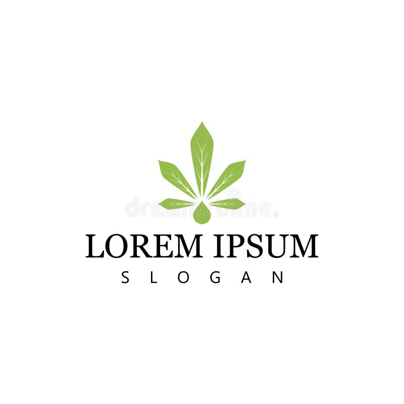 Cannabis-Marihuana-Hanf-Logo Und Symbol Vektor Abbildung - Illustration ...