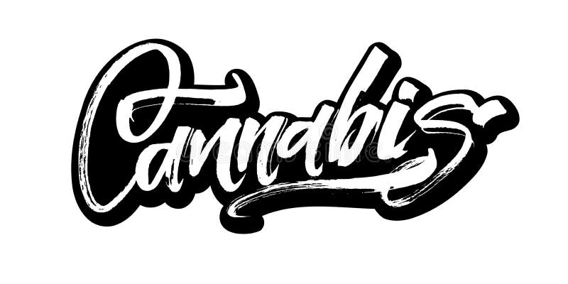 Cannabis. Modern Calligraphy Hand Lettering for Serigraphy Print Stock ...