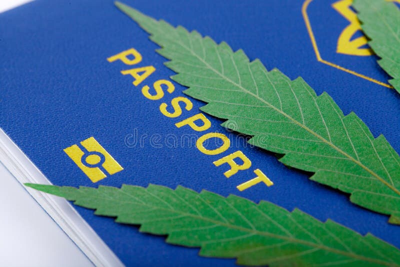 Cannabis Oder Marihuana-Blatt Auf Der Verpackung Eines Biometrischen ... Cannabis Oder Marihuana-Blatt Auf Der Verpackung Eines Biometrischen ...