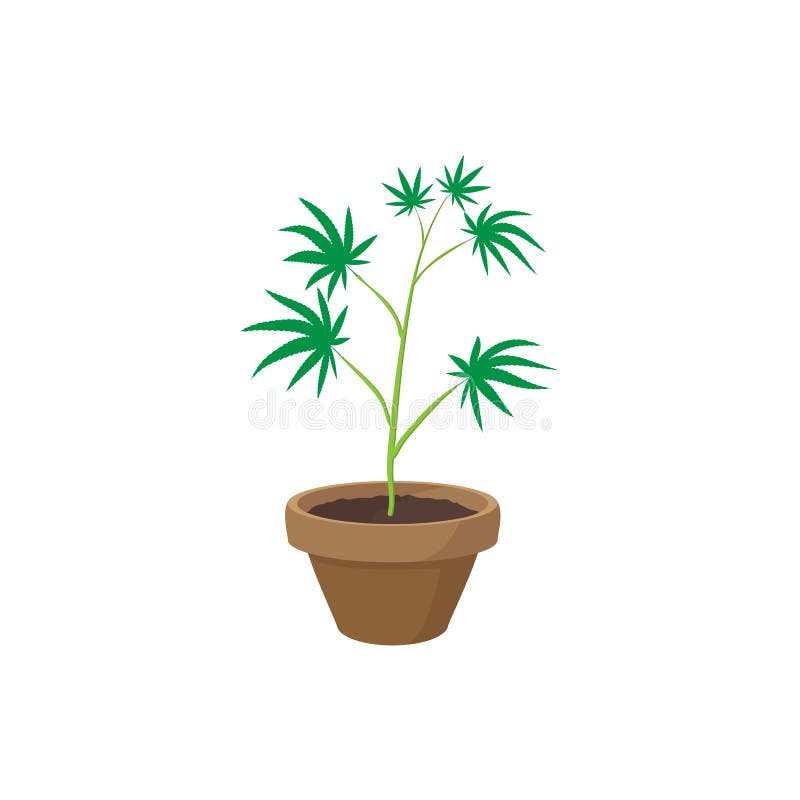Cannabis Plant in a Pot Icon, Cartoon Style Stock Vector - Illustration ...