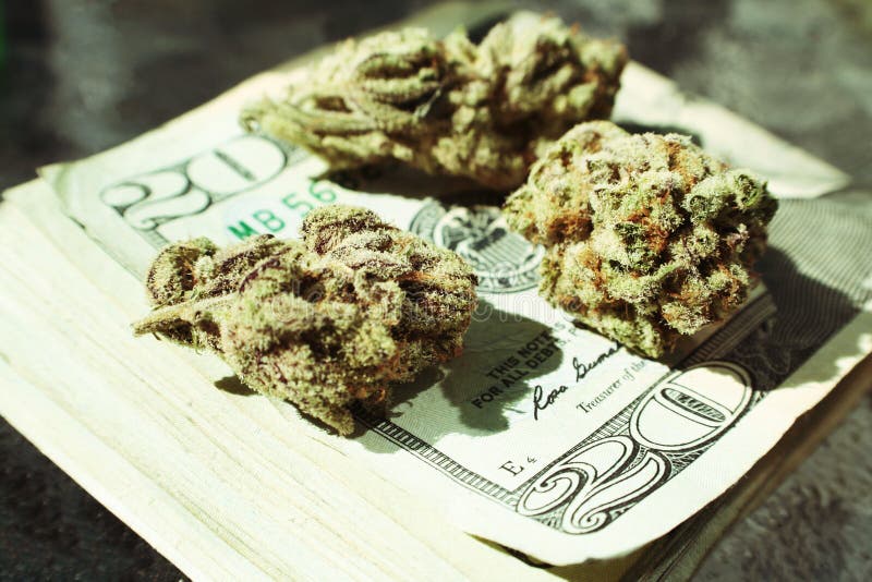 Marijuana Profits with Bud on Stack of Money High Quality Stock Image ...
