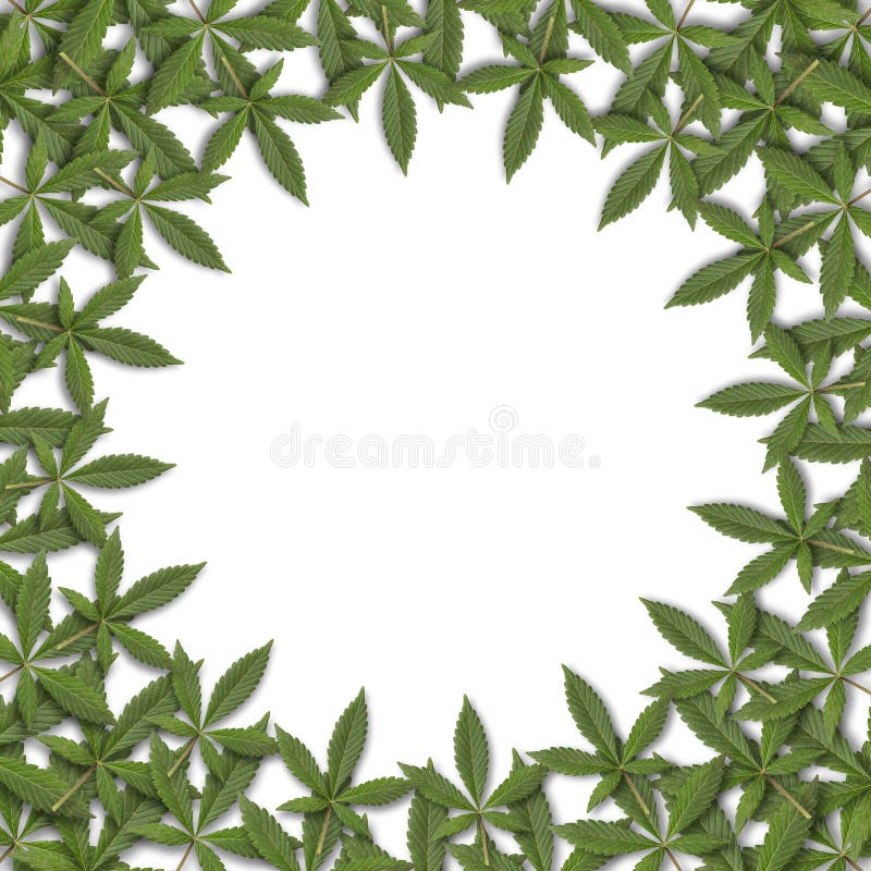 Cannabis round frame stock photo. Image of habit, addictive - 215641760