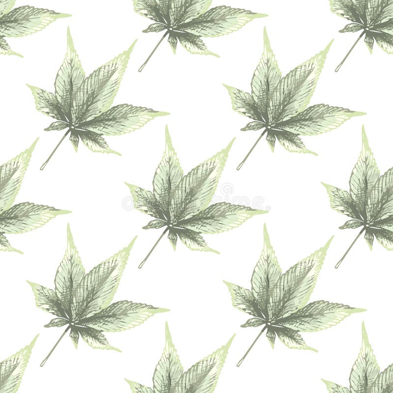 150_cannabis Sativa, Indica Stock Vector - Illustration of pattern ...