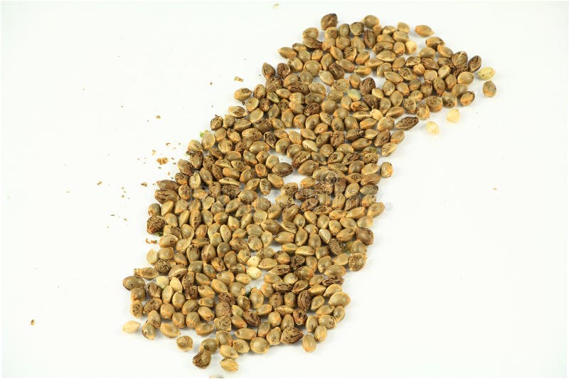 Cannabis Seeds 4 stock image. Image of isolated, pile - 36646853